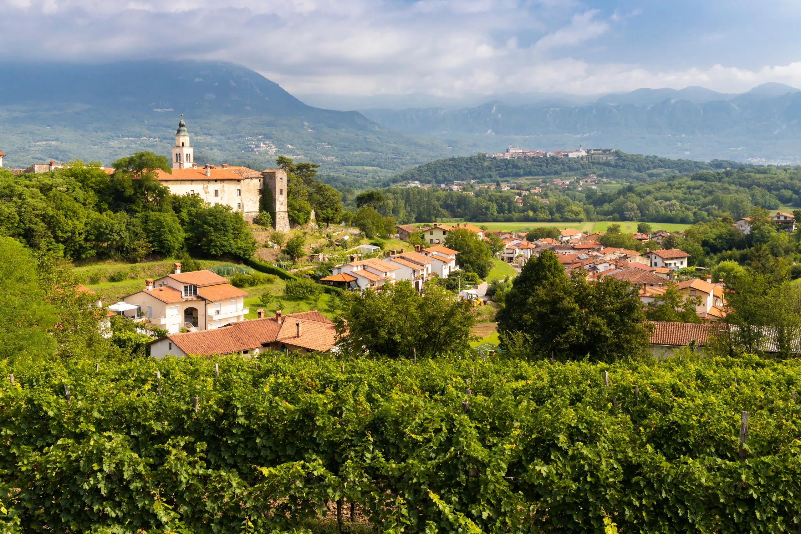 Boutique Wine Tour Holiday to Vipava Valley & Goriška Brda – Wine Tours ...